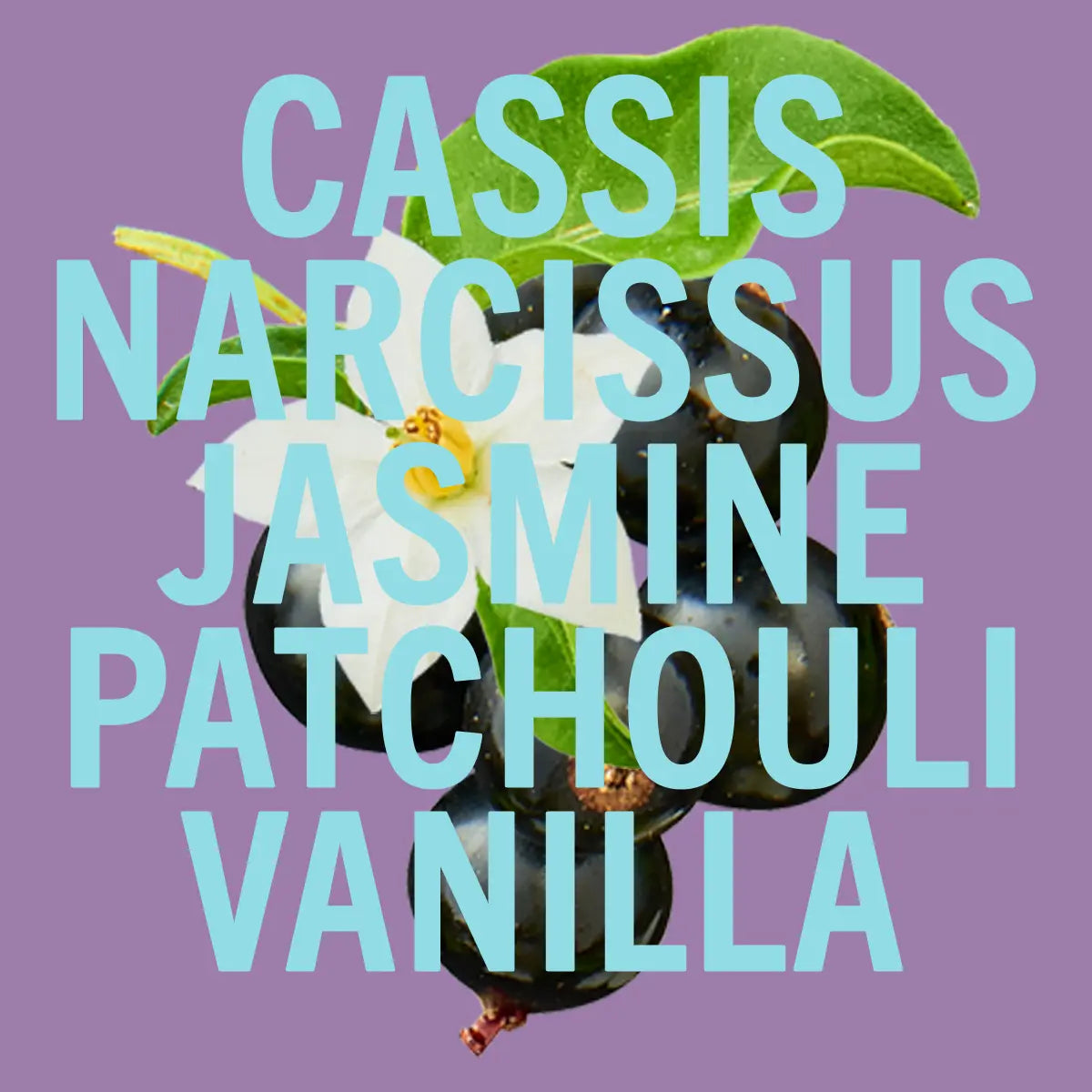 Atropa Belladonna 100ml Perfume | Shay & Blue London – Shay & Blue UK